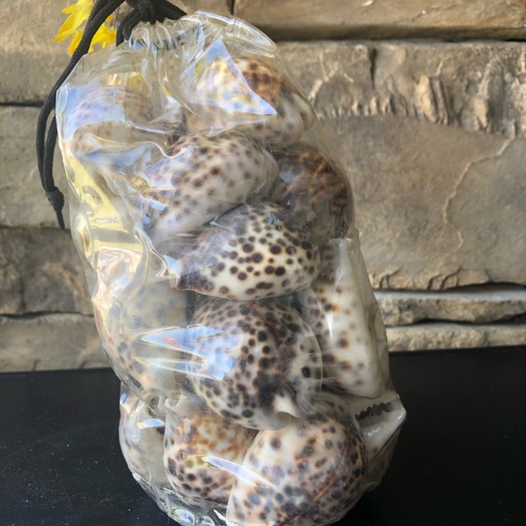Accents | Nwt Leopard Tiger Cowrie Seashell Bag | Poshmark